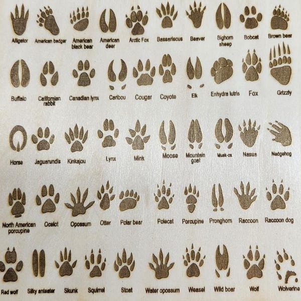 ANIMAL TRACKS-FOOTPRINTS Clipart-vector Clip Art Graphics-digital Image ...