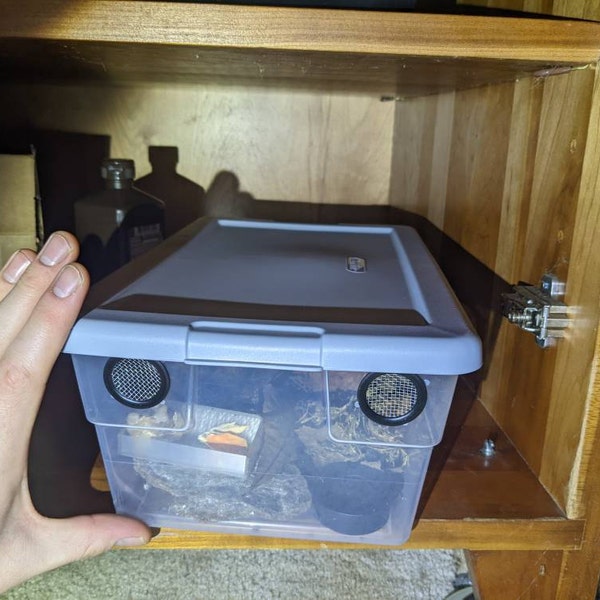 Vented Vivarium Enclosure 16 Quart Terrarium With White Vents ...