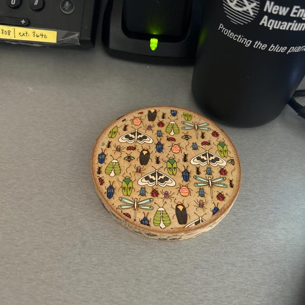 Nature Landscape Coasters - Etsy