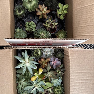 Navy Blue Chiffon Chair Drapes With Silver Ring for Hire. - Etsy UK