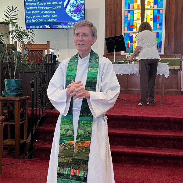 St Francis Stole, Animal Stole, Animal Blessing, Clergy Animal Blessing ...