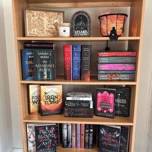 Crescent City Poster Art Print Lunathion HOEAB Bookish Gift Booktok ...