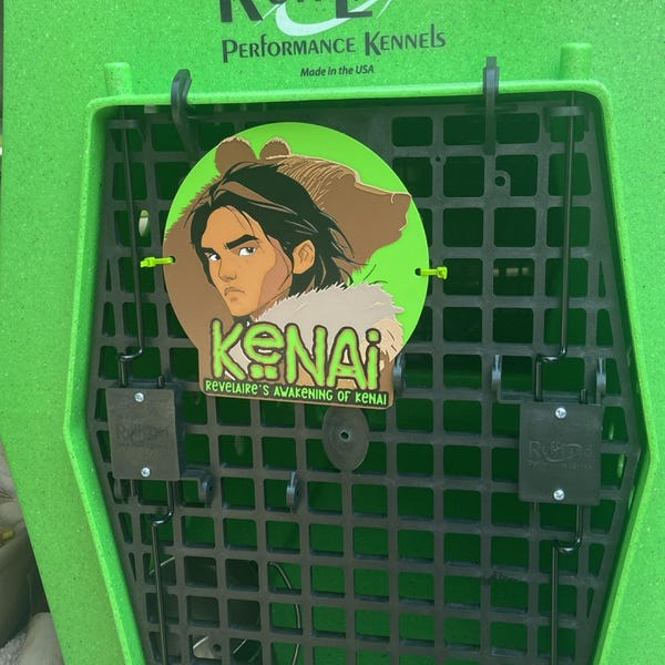 Swirl Personalized Pet Crate Tag, Calligraphic Kennel Name Plate, Art ...