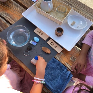 Animal Classification Sorting Set, Montessori Object Classification ...