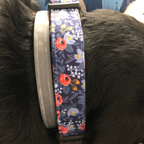 Blue Floral Dog Collar, Embroidered Dog Collar, Personalized Dog Collar ...