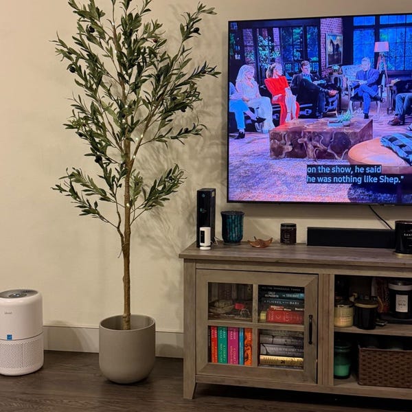 Til We Are Ghosts Neon Sign Goth Lover Gift Gothic Decor Goth Room ...