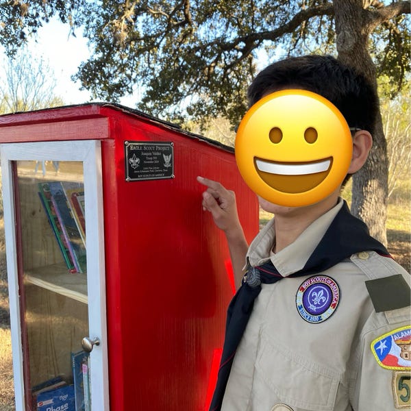 BSA Licensed AOL Den Leader Cub Scouts Plaque With Rank Insignia and ...
