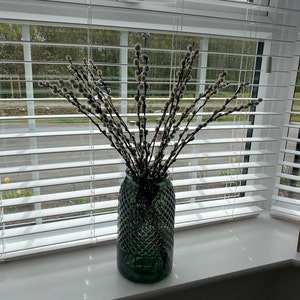 Contorted Willow, Natural Corylus, Twisted Hazel 60cm. - Etsy UK