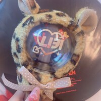 Enhypen En-dolls Animal Fanmade Plushie Jungwon Heeseung - Etsy Canada