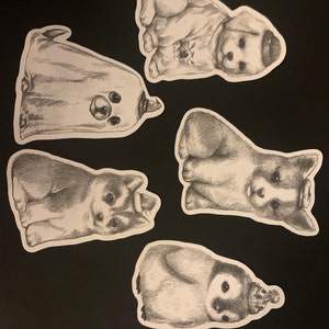 Fat Little Toad Sketch Drawing Illustration 8.5 X 11 Animal Art Print ...