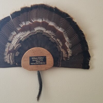 4 Fan Turkey Fan Display With 20 Beard Shelf With 5 Plaque Styles - Etsy