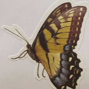 RUB-ON stickers 2 sheets Rub On Transfer Stickers vintge | Etsy