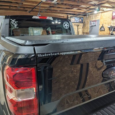 Astarion Scar Baldur's Gate 3 Vinyl Decal Astarion's Scar Back Markings ...