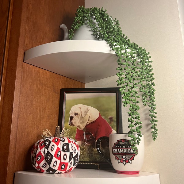 Uga,fabric College Pumpkin, Fall Decor, Autumn Decor, College Football ...