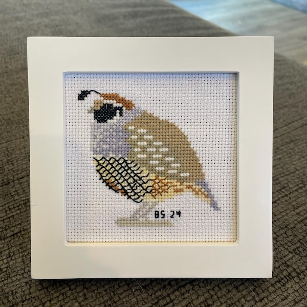 California Quail Cross Stitch Pattern: State Bird Design (PDF) - Etsy
