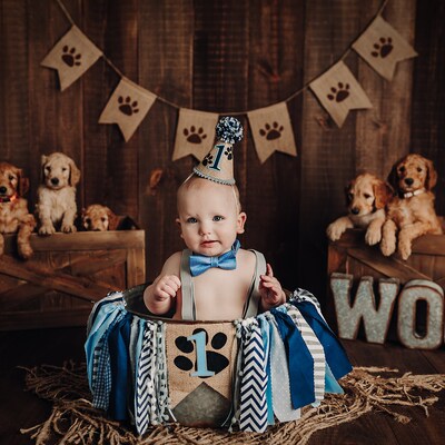 Boys Birthday Banner Puppy Theme High Chair Banner Boys 1st Birthday ...