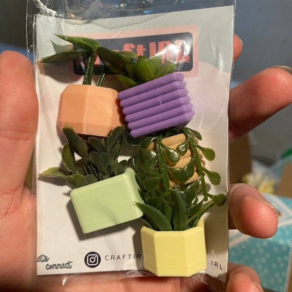 Handmade Mini Succulent Fridge Magnet | Colorful Plant Decor - Etsy