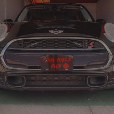 Stained Glass License Plate Frame, Floral Pink Peony Vanity Car Tag ...