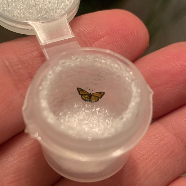 Monarch, Micro Miniature Butterfly, Danaus Plexippus, Dollhouse Scale ...