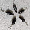 Miniature Rats - 1:12 Scale Miniature Size for Horror Diorama ...