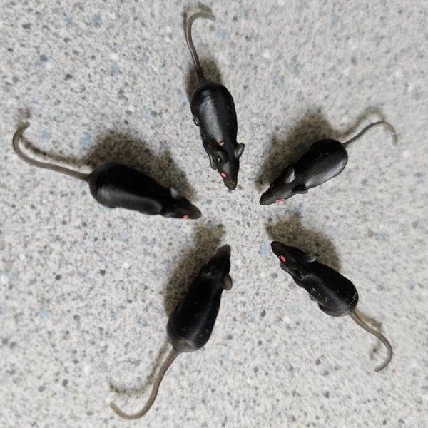 Miniature Rats - 1:12 Scale Miniature Size for Horror Diorama ...