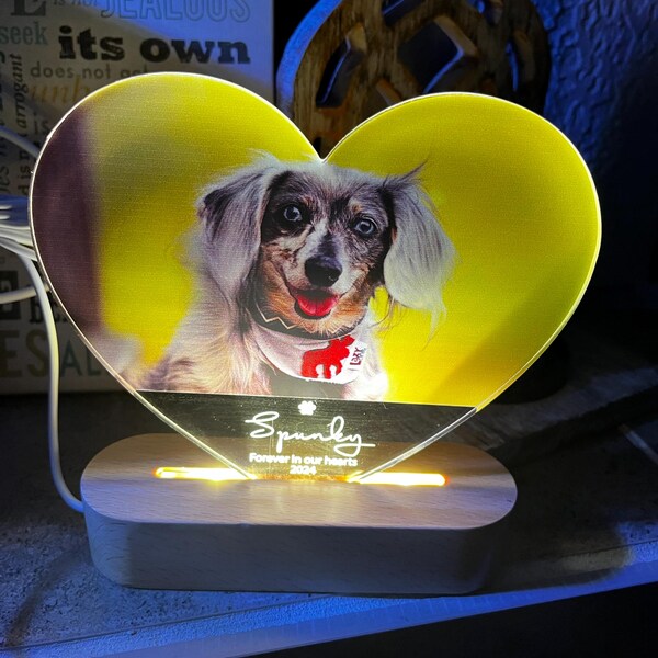 Photo Engraving Custom 3D Acrylic Night Light Personalized Bedroom LED ...