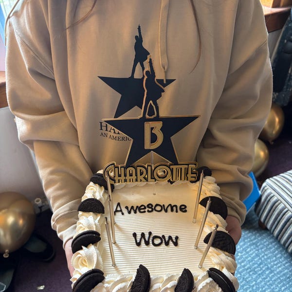 Hamilton Hoodie, Hamilton Musical Hoodie, Hamilton Merch, Hamilton ...