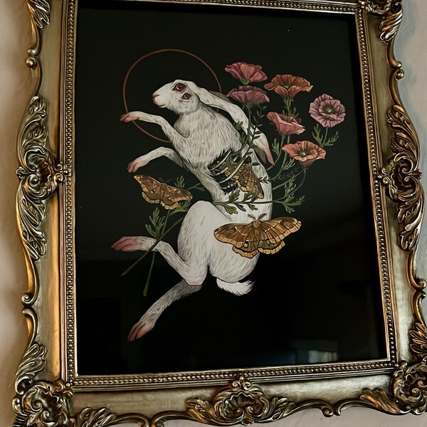 White Rabbit With Poppy Flowers- Giclee Print From Original Hand ...