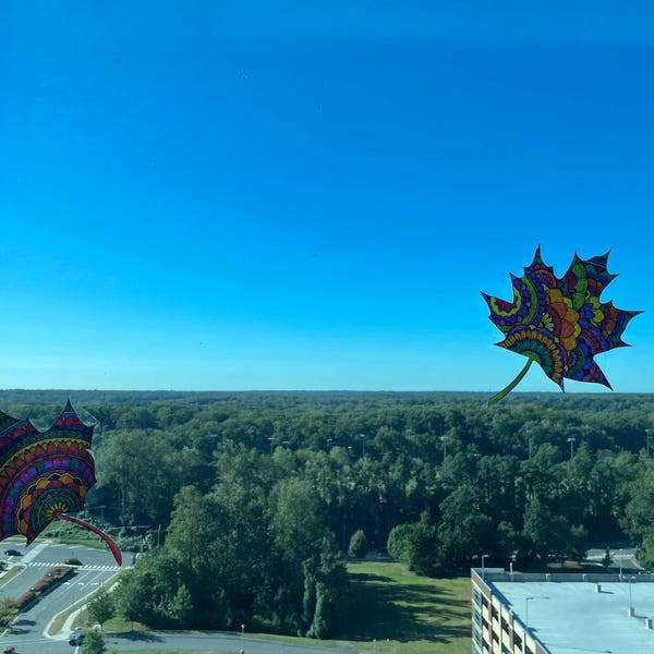 Paper Toy | Easter Kaleidocycles / Flextangles - a Paper Craft to Color ...