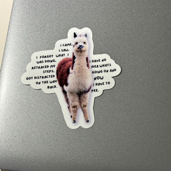 Medical Alert Card, Medical ID Card, Personalized Medical Alert ...