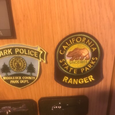 F.D.N.Y. Engine 243 / Ladder 168 Patch No Problem Firefighter New York ...