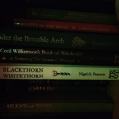 The Witch Compass: Working With the Winds in Traditional Witchcraft. by ...