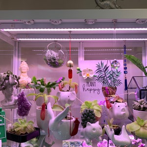 Cute Boot Succulent Planter Pot With Drain Hole & Saucer Custom Colors ...