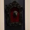 Gothic Unusual Crow Raven Foot in Vintage Style Ornate Frame on Velvet ...