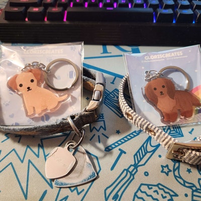 Striped Hyena Acrylic Glitter Keychain Kawaii Chibi Animal Lover Wild ...