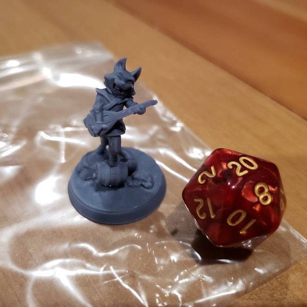 Bard Catfolk • Tabaxi • Cat • KAW • Miniature • 3D Resin Printed 28 ...