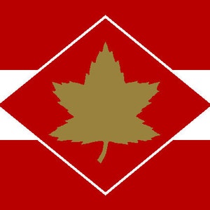 German LARS Multiple Rocket Launcher 1/100 Flames of War Team Yankee - Etsy