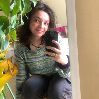 Velvet Spider Sticker 3.5 Inch Glossy Sticker Ladybird - Etsy