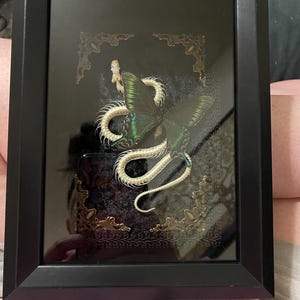 Snake Skeleton Framed, Black & Burgundy real Snake Skeleton Framed ...