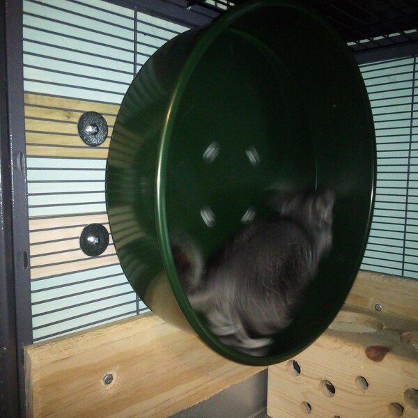 Original Full/single Sets of Cage Guards / Poop Guards SAFEST & MOST ...