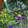 Candy Colors Butterfly Metal Garden Stake Outdoor and Garden - Etsy