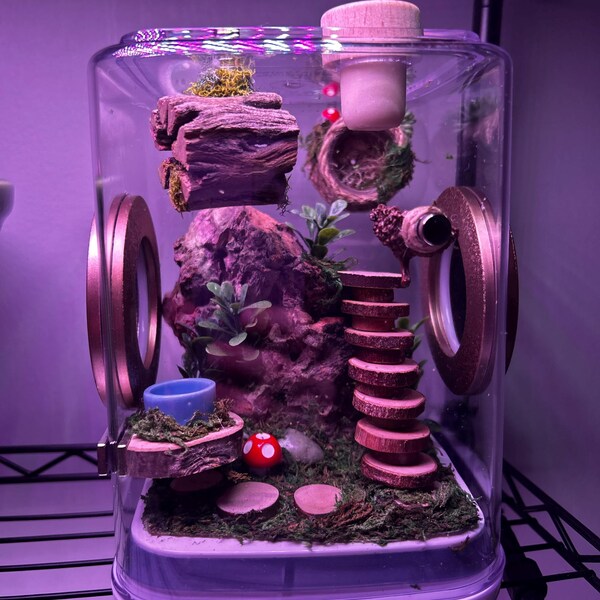 Jumping Spider Enclosure 5x5x9 Spider House, Spider Tank, Spider ...