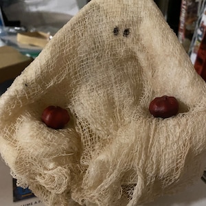 Terraria Inspired Eater of Souls Fleece Pillow Doll or Toy - Etsy