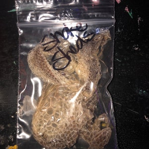 Baphomet Incense Holder With Bewitching Incense Sticks and - Etsy