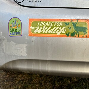 Grow Native Bumper Sticker With California Wildflowers, Monarchs, and ...