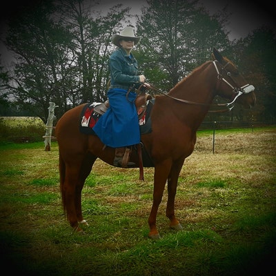 Lace Modesty Panel, Neckline Insert, Mock Camisole - Etsy