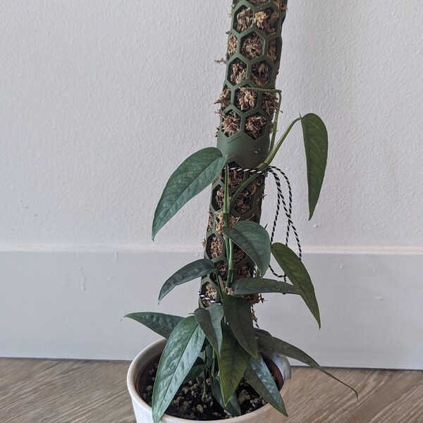 Modular Moss Pole 1.75 in Diameter Extendable, Modular Pole, With Easy ...
