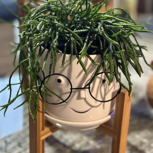 Head Ceramic Face Planter With Glasses | Planter With Drainage and ...