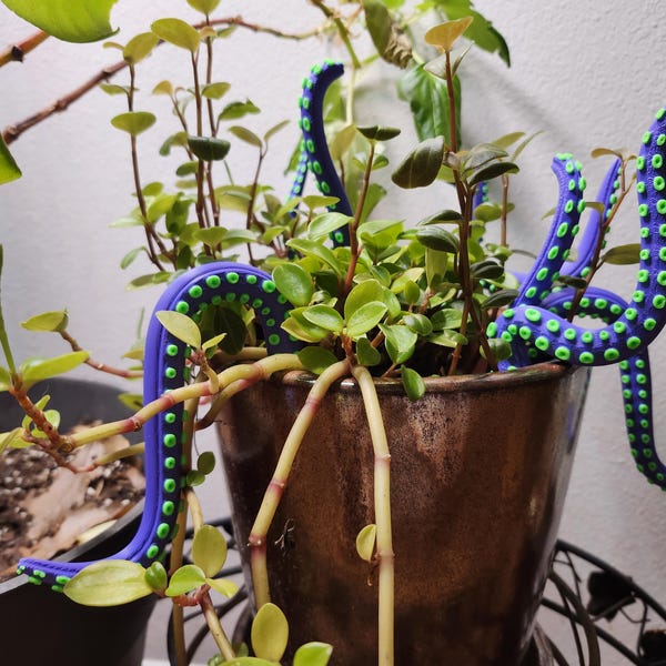 Octopus Tentacles Planter Decorations - Set of 8. House Plant Decor - Etsy