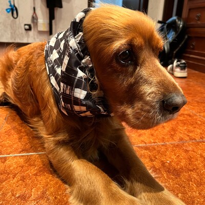 Waterproof Thick Dog Snood Swimming Cap for Dog Dog Hat - Etsy